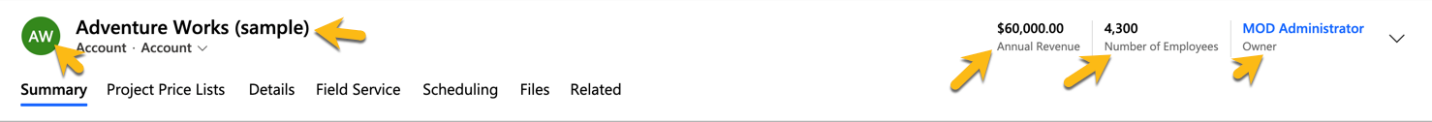 Customizing The Account Entity In Dynamics Crm